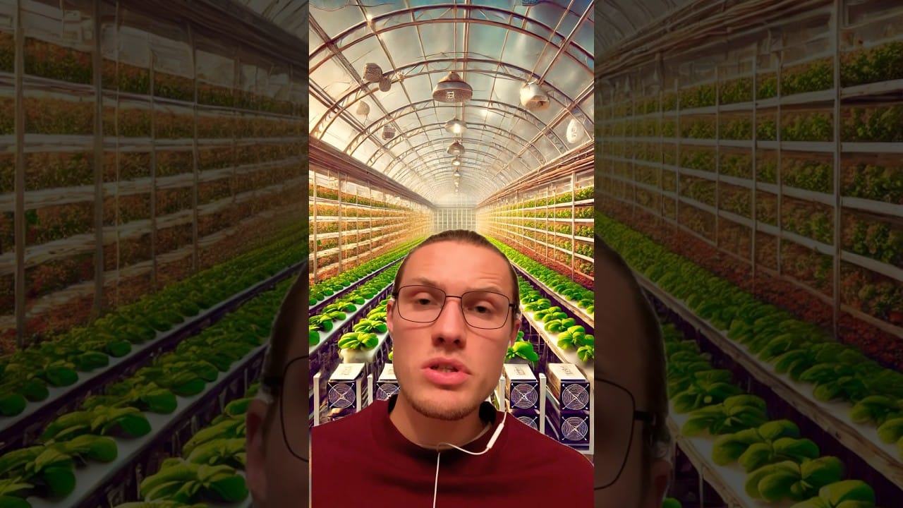 Digital And Physical Crop #yield #farming | HashPower Academy